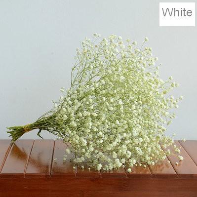 Dried Babys Breath Bunch, Gypsophila, GYP, Wedding Mason Jar Filler, D ...